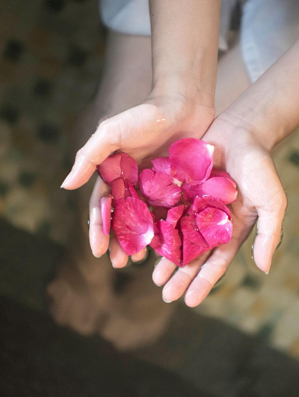 Tai-Yi Red Maple Resort / Tai-Yi Ecologiacl Leisuer Farm