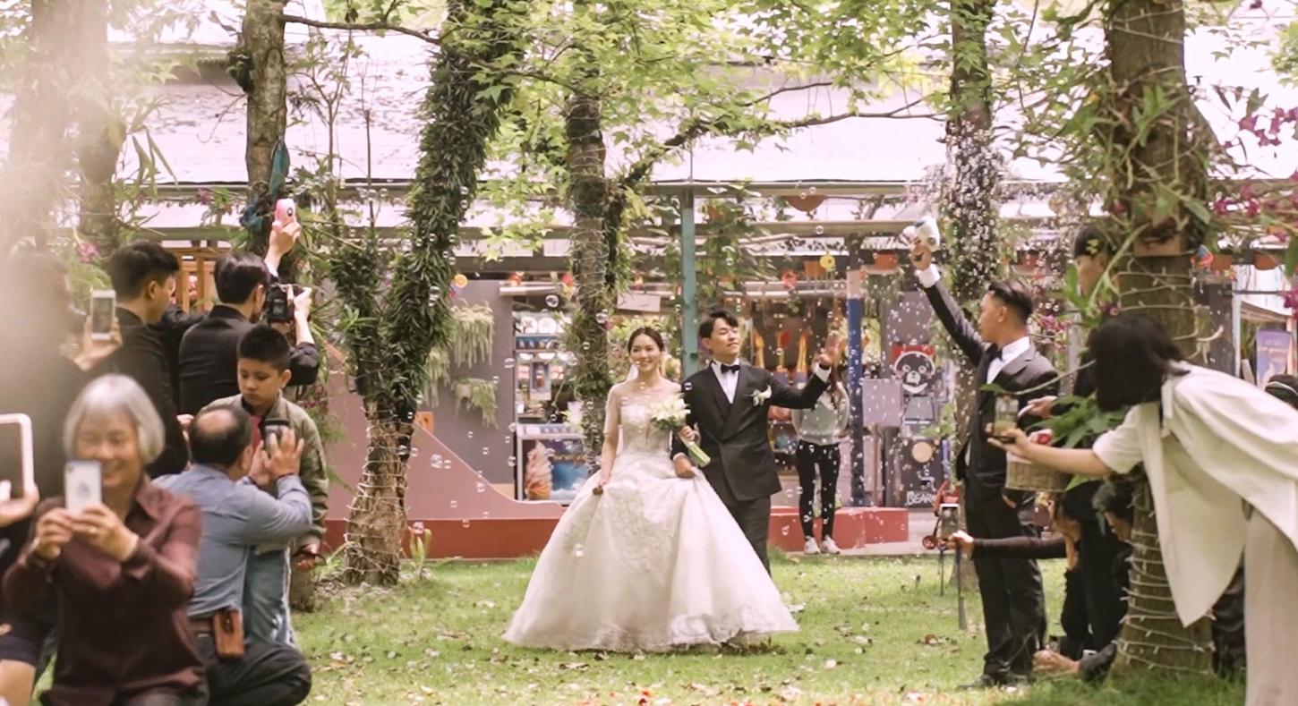 Tai-Yi Red Maple Resort / Tai-Yi Ecologiacl Leisuer Farm